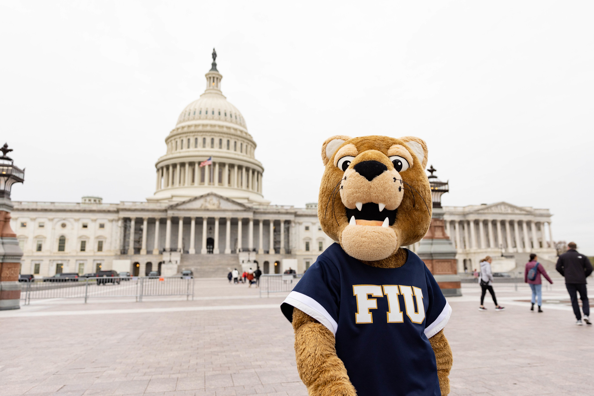 The Talent Lab | FIU in Washington, D.C. | Florida International University
